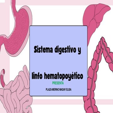 SISTEMA DIGESTIVO Y LINFO - HEMATOPOYÉTICO-PLAZA MERINO MADAY.pdf