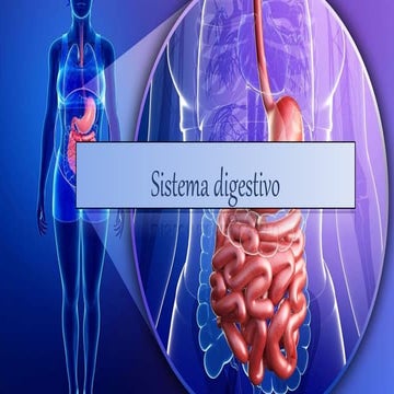 Sistema digestivo disgestion corporal.pptx