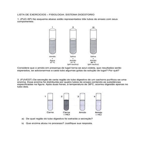 Sistema digestorio - MACVEST | PDF