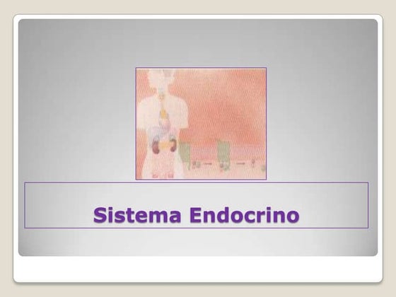 Sistema endocrino | PDF