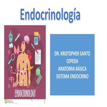 ESQUEMAS DEL SISTEMA ENDOCRINO | DOC