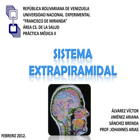 Anatomia Do Sistema Extrapiramidal
