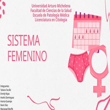 Ciclo cervical | PDF