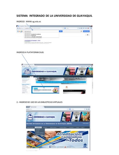 certificato Logic level one.PDF
