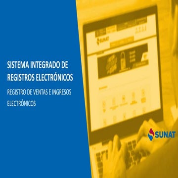 SISTEMA INTEGRADO DE REGISTROS ELECTRONICOS - RVIE (ultimo).pdf