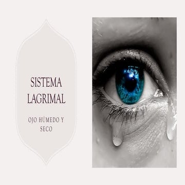 SISTEMA LAGRIMAL OJOS HÚMEDO Y SECO OFTALMOLOGIA | PPTX
