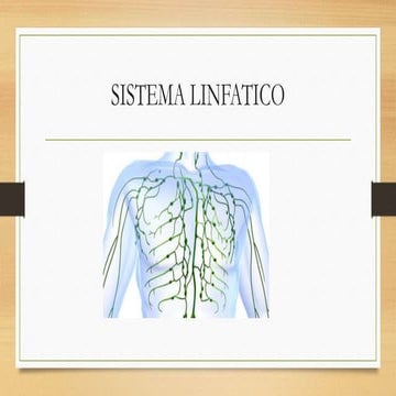 SISTEMA_LINFATICO_pptx.pptx