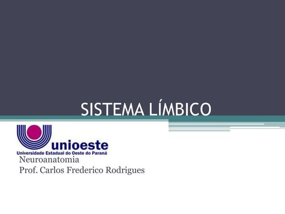 Medresumos 2016 Neuroanatomia 09 Estrutura E Funções Do Cerebelo Pdf