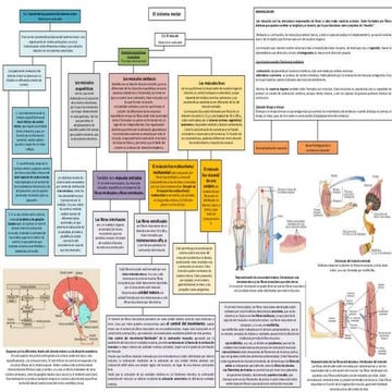 METODO WILLIAMS TAREA.pptx