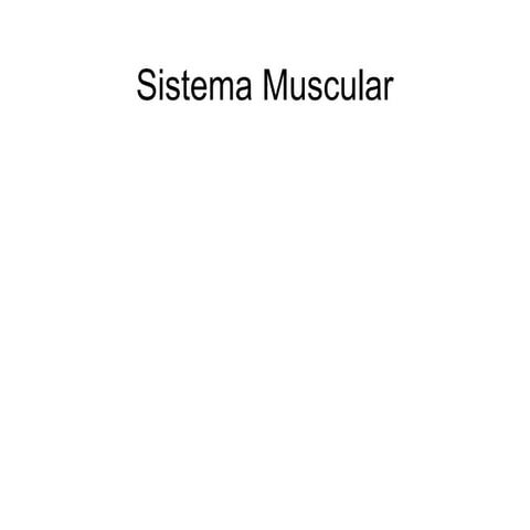 Comprehensive Overview of the Human Muscular System: Types, Functions ...