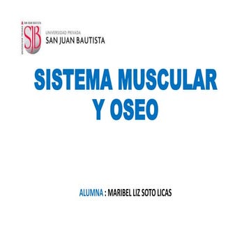 Sistema oseo | PPT