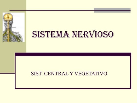 SISTEMA NERVIOSO..pptx.................. | PPTX