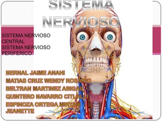 SISTEMA NERVIOSO..pptx.................. | PPTX