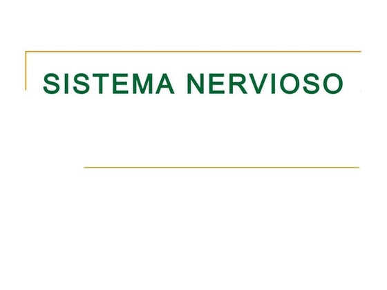 ppt SISTEMA NERVIOSO.pptx NIVEL PRIMARIA | PPTX