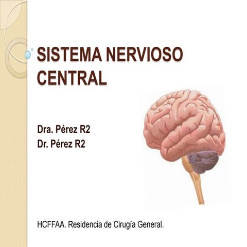Anatomía Del Sistema Nervioso Central Ppt