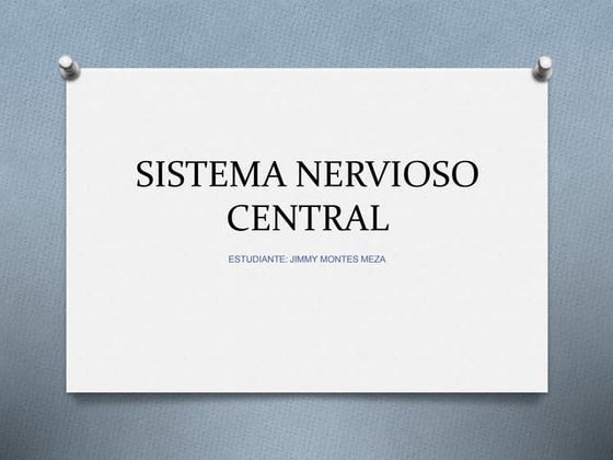 Jimmy Meza, Estudiante at Universidad peruana los andes.