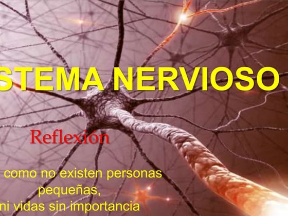SISTEMA NERVIOSO..pptx.................. | PPTX