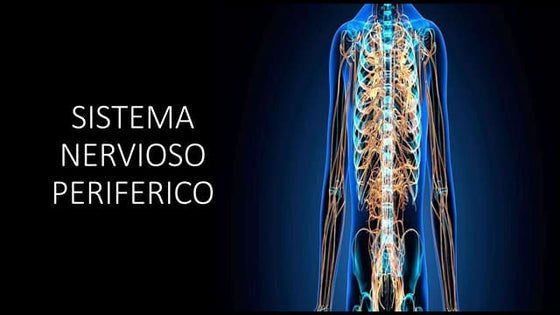 Eleazarromerohernnde presentations