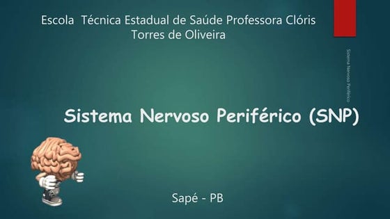 Medresumos 2016 Neuroanatomia 09 Estrutura E Funções Do Cerebelo Pdf