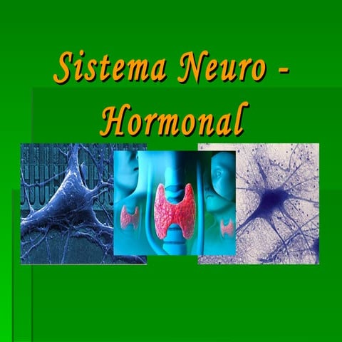 Sistema Neuro Hormonal 9ºAno | PPT