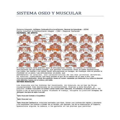 Sistema oseo muscular | PPTX