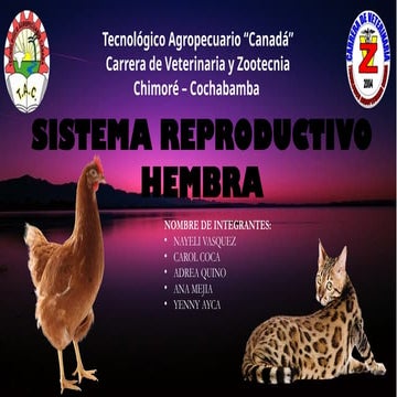 Anatomía y fisiología reproductiva de la vaca.pptx
