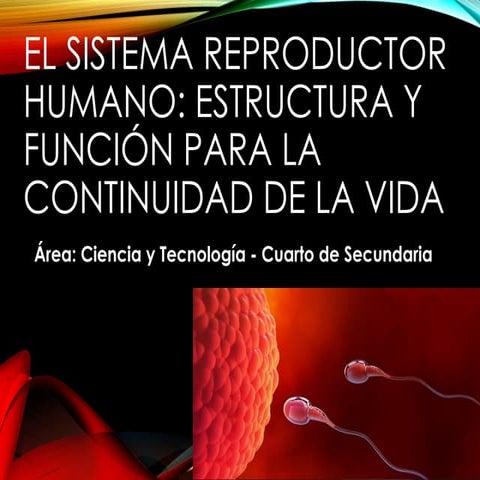 Sistema_Reproductor_Humano- hombre parte 1.pptx
