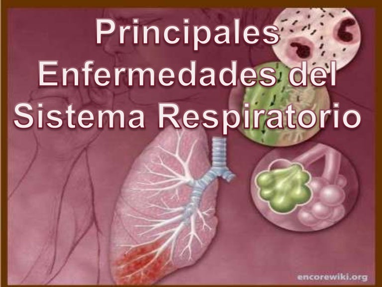 Enfermedades Del Sistema Respiratorio