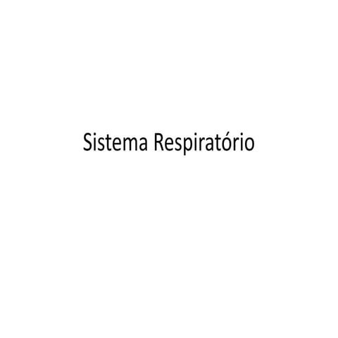 Anatomia E Fisiologia Do Sistema Respiratorio Pptx