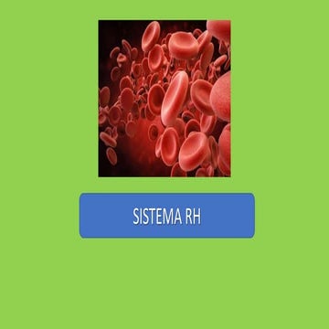 sistema rh.pptx