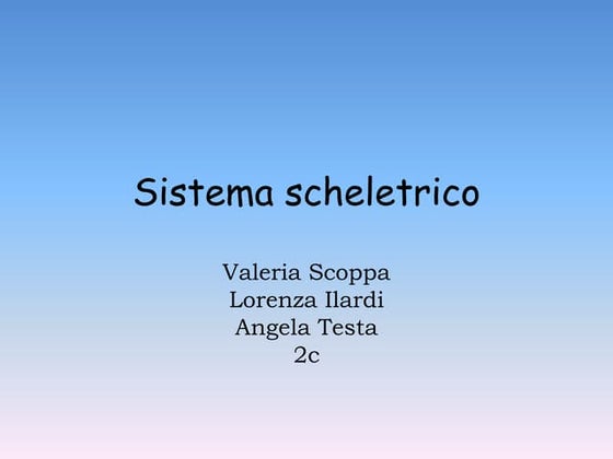 SISTEMA MUSCOLARE Testa Angela e Valeria Scoppa 2c.pptx