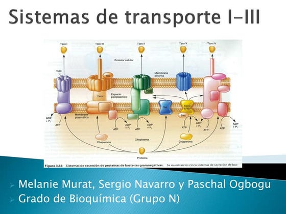 Transportadores abc | PPT