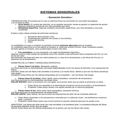 SOMESTESIA_PPT.ppt SENSOPERCEPCION SOMESTESIA | PPT