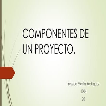 Componentes De Un Proyecto. | PPT