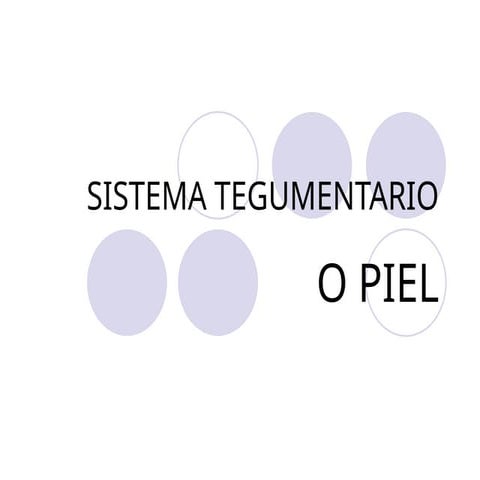 LA PIEL (SISTEMA TEGUMENTARIO) (SEM 12).pptx