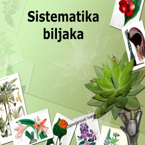 List - biljni organi, dijelovi biljke.pptx