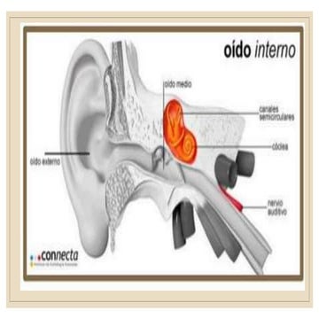 Sistema vestibular fisiologia | PPTX