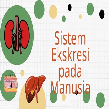 Sistem Ekskresi pada Manusia Presentasi Hijau dan Merah Muda Ilustrasi ...