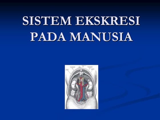 Pertemuan 7 Sistem Ekskresi pada manusia.pptx