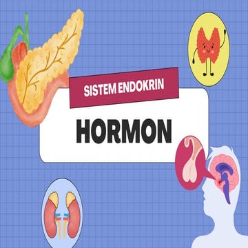 Sistem Endokrin (Hormon) pelajaran biologi SMA.pdf