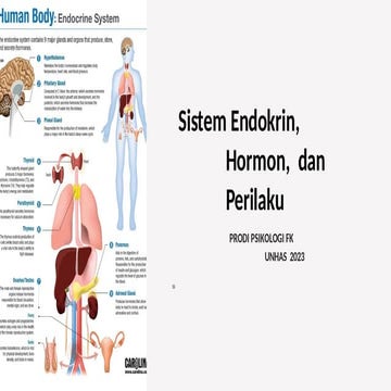 Sistem Endokrin, Hormon dan Perilaku (1).pptx