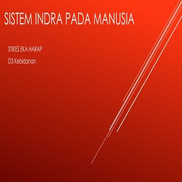 Materi ipa kelas 4 semester 1 panca indra | PPTX