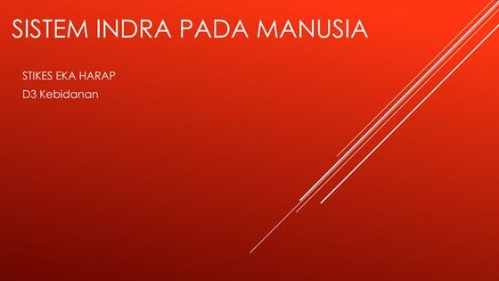 Materi ipa kelas 4 semester 1 panca indra | PPTX