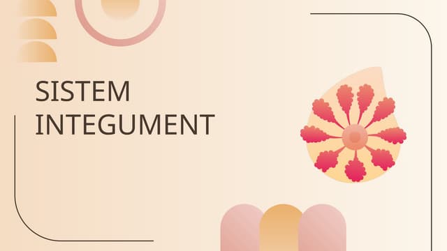 Sistem Integumen | PPTX