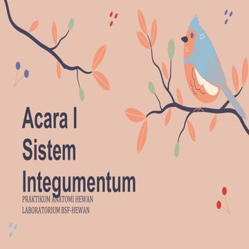 SISTEM INTEGUMENTUM edited.pptx