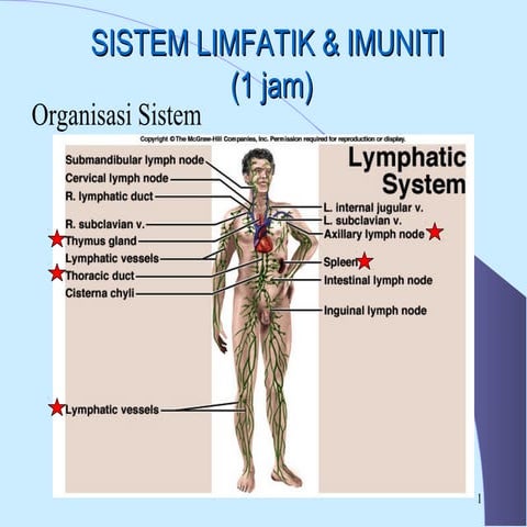 Sistem limfatik& imuniti | PPT