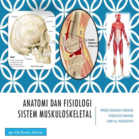 sssssssssssssSistem Muskuloskeletal.pptx