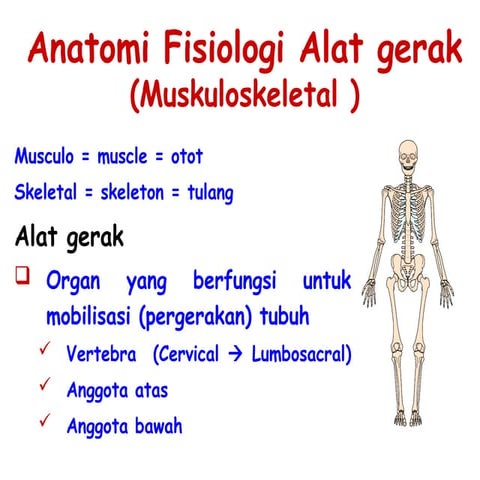 Sistemm Muskuloskletal, Otot, Tulang dan sendi | PPT