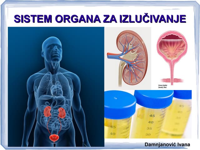 Građa ćelije - 7. razred, Dunja Ercegovčević | PPTX