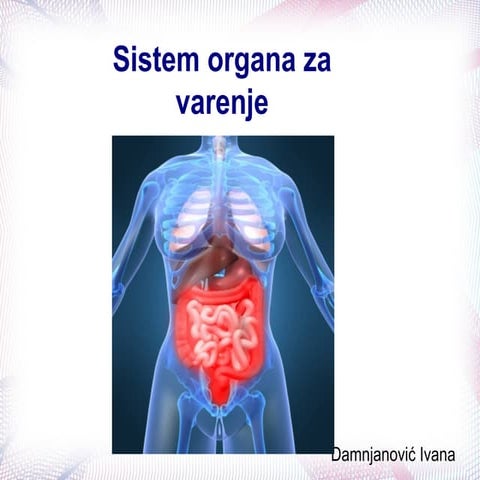Fotosinteza, disanje i transpiracija | PPTX